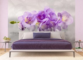 Fototapeta na míru Něžná Orchidej | Vliesová fototapeta na zed' | DFTNXXL2400
