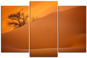 Obraz na plátně - Červené písečné duny 1133C (150x100 cm)