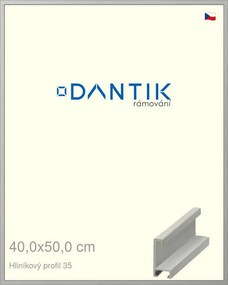 DANTIK rámeček 40x50 | ALU profil 6035 Dýha barevná šedá (Plexi Čiré)