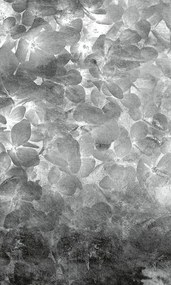 DIMEX | Vliesová fototapeta na zeď Abstrakt květy jabloně II. MS-2-0355  | 150 x 250 cm | černá, bílá