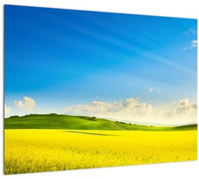 Skleněný obraz - Jarní nebe (70x50 cm)