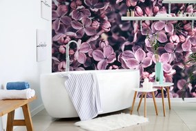 Samolepící fototapeta fialové květy šeříku - 225x150 cm