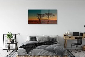 akrylový obraz oblohy stromu 125x50 cm
