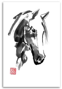 Gario Obraz na plátně Hlava koně - Péchane Rozměry: 40 x 60 cm
