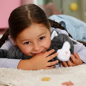 Zapf Creation BABY born Kočka Cookie s přepravkou / od 3 let