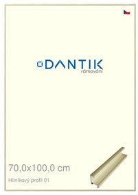 DANTIK rámeček 70x100 | ALU profil 7001 zlatá lesklá alternativa (Plexi Čiré)
