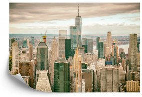 Fototapeta Pohled Na New York City Omyvatelný vlies 104x70.5