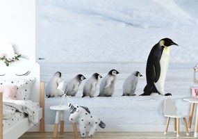 Malvis ® Tapeta Rodina tučňáků Vel. (šířka x výška): 432 x 290 cm