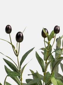 Sinsay - Decorative plant in a pot - zelená