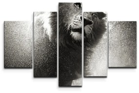 Sablio Obraz - 5-dílný Mokrý lev - 125x90 cm