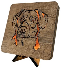 Li-Go "Rottwailer" lampa 19x19cm provedení povrchu: ořech