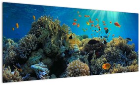 Obraz podmořského světa (100x40cm)