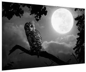 Obraz noční sovy (90x60 cm)