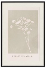 Plakát Francouzská zahrada - světlá rostlinná kompozice s francouzskými texty