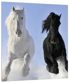 Obraz koní (30x30 cm)