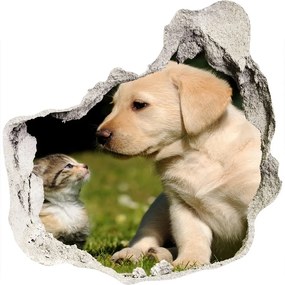 Wallmuralia Díra 3D fototapeta nálepka Pes a kočka na louce 75x75 cm
