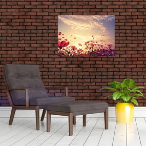 Skleněný obraz - Louka s květinami (70x50 cm)