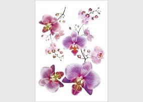 Samolepka na zeď Fialové Orchideje | 65 x 85 cm | DF0466