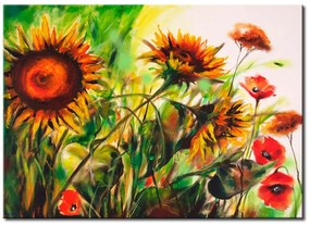 Obraz Jarní louka - slunečnice a máky