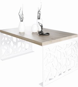 ADRK Furniture Konferenční stolek SEMARA 100x60 CT-SEM-W-S