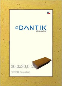 DANTIK rámeček 20x30 | RETRO žlutá (Sklo Čiré)