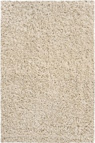 Kusový koberec Bono 8600-110 - 200 x 300