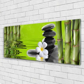 akrylový obraz Bambus Kameny Rostlina 125x50 cm