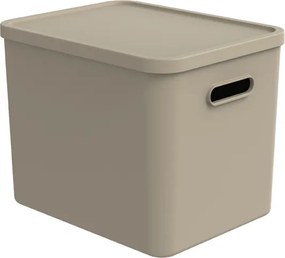 Rotho Úložný box, rovný s víkem, 27l, béžová ALBU LIGHT, 37x29x30