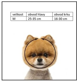 Pet Amour Čepice s bambulí pro psy Paris černá Velikost: M