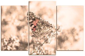 Obraz na plátně - Motýl na levandule 1221FC (135x90 cm)