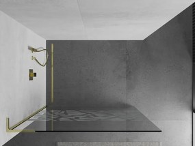 Mexen Kioto L, sprchová zástěna Walk-In 120 x 200 cm, 8mm čiré sklo bílý vzor, ​​zlatý lesklý profil, 800-120-103-50-78