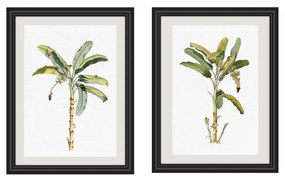Sada obrázků palmy A5 (148 x 210 mm): A5