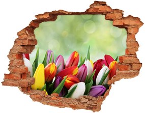 Wallmuralia Samolepící díra na stěnu Barevné tulipány 90x70 cm