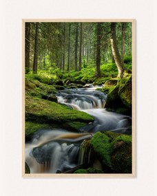Oboustranný plakát Borové Větve / Lesní Potok při Východu Slunce | 30 x 42 cm | DP351327