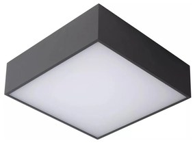 Lucide 27816/10/29 - LED Koupelnové stropní svítidlo ROXANE LED/12W/230V IP54