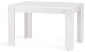 Jídelní stůl INTER 120x80 bílý