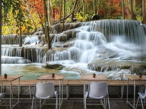 Malvis ® Tapeta Podzimní les vodopády Vel. (šířka x výška): 216 x 140 cm