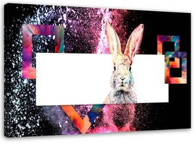 Obraz na plátně Zvířata králíků - 60x40 cm