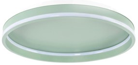 Toolight Toolight, LED stropní svítidlo 40cm, 4000 lm, 22W, 4000K, APP1463, zelená, OSW-08641