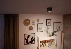Philips Box 4,5W černá / LED stropní bodové svítidlo / 500lm / 2200-27