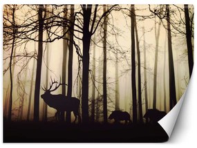 Gario Fototapeta Zvířata v lese Materiál: Vliesová, Rozměry: 200 x 140 cm