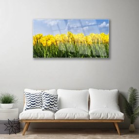 Plexisklo-obraz Tulipány Květiny Rostlina 100x50 cm
