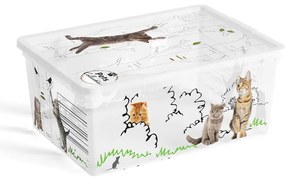 KIS C BOX 84080005098 Box 11 L, Style, Pets Collection