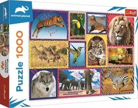 Trefl - Puzzle - Animal Planet: Divoká příroda / 1000 dílků / 68.3 x 4