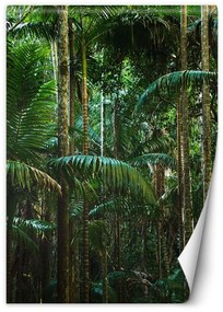 Fototapeta, Tropické stromy na ostrově - 100x140 cm