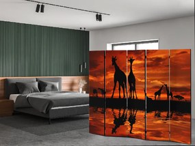 Paraván safari žirafy Rozměr: 225 x 180 cm