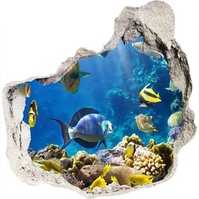 Wallmuralia Fototapeta díra na zeď Korálový útes 75x75 cm