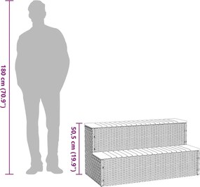 vidaXL Obruby k vířivce 100x50x50,5 cm polyratan a akáciové [4103945] Barva: Béžová