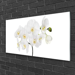 Obraz na skle Bílá Orchidej Květiny 125x50 cm