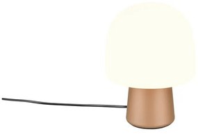 Stolní lampa v bílo-bronzové barvě se skleněným stínidlem (výška 27 cm) Steen – Trio